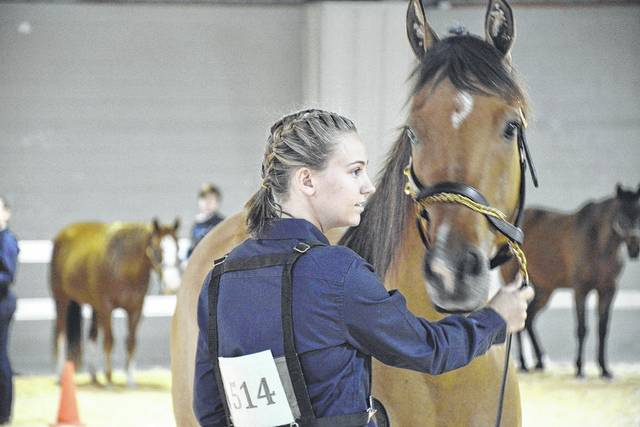 Clemson students to host, compete in livestock exhibition at Garrison ...